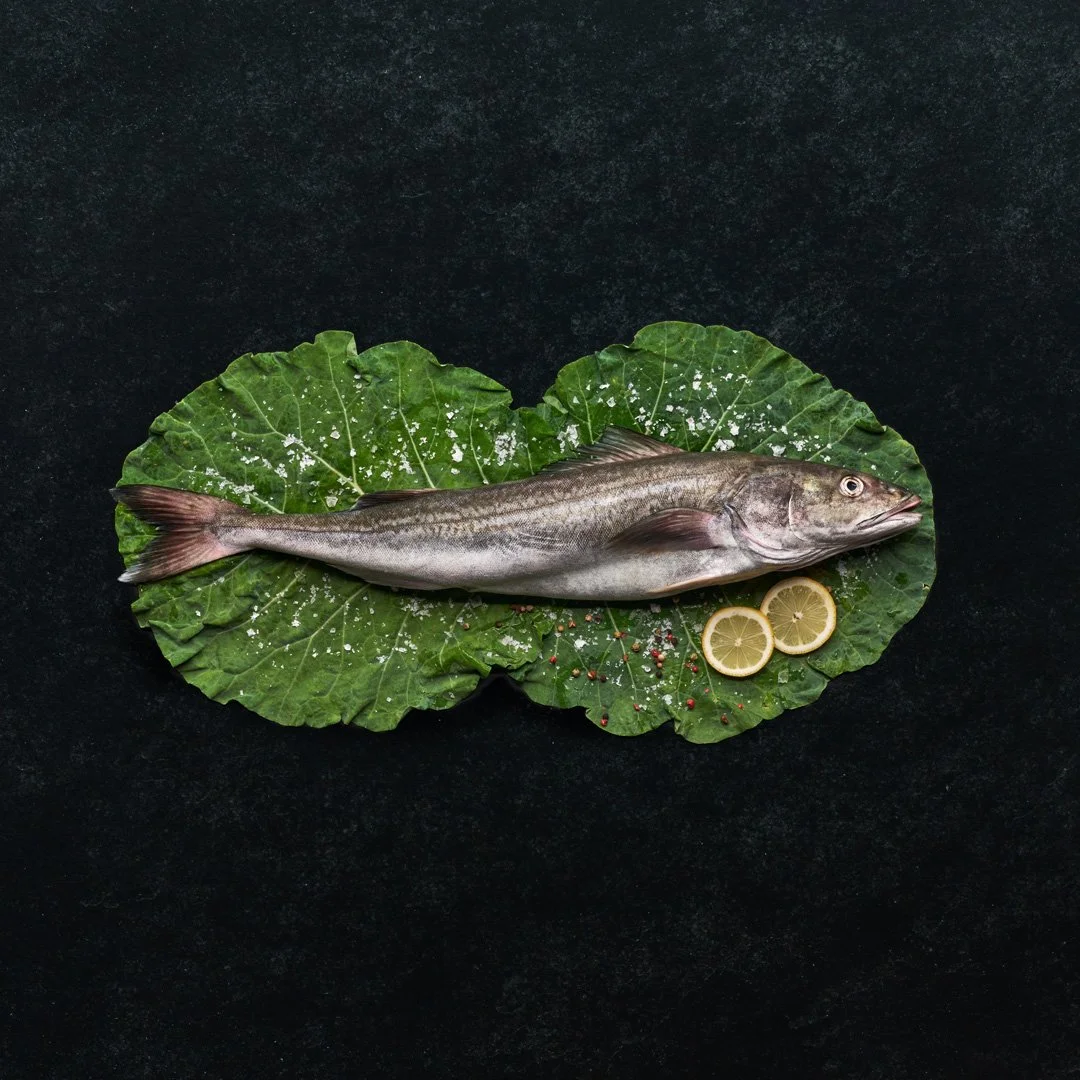 Your Key to Health - The Right Omega-3 : Omega-6 Balance — Positively ...
