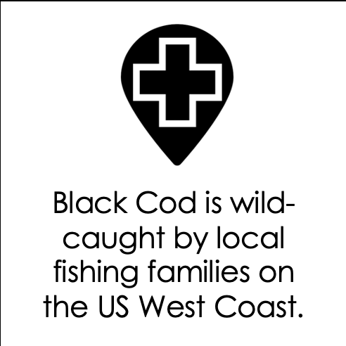 Black Cod / Sablefish - Fish Species Information — Positively Groundfish