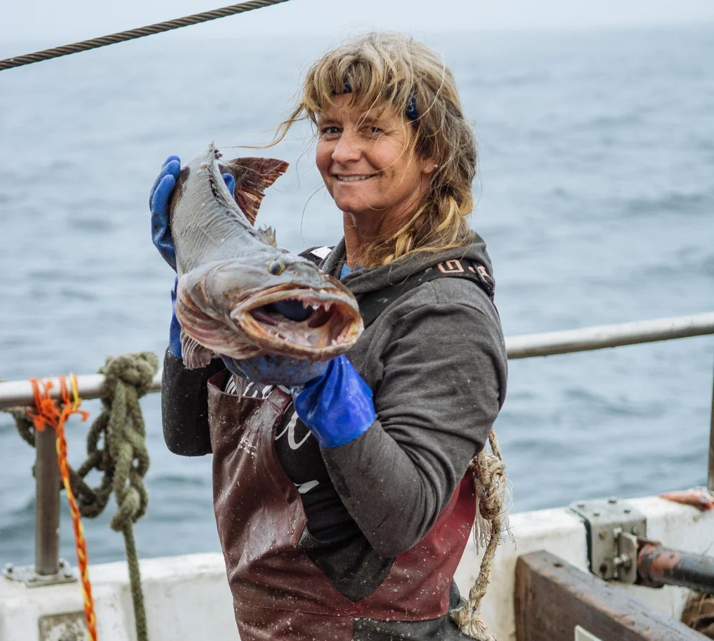 Lingcod - Fish Species Information — Positively Groundfish