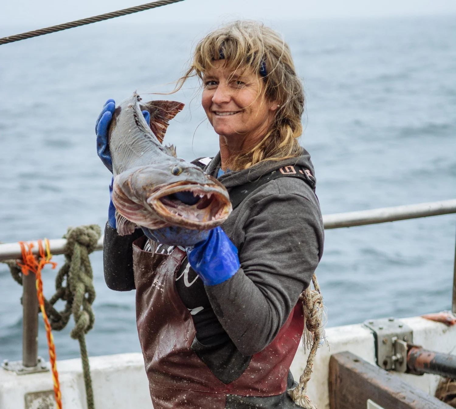 Lingcod - Fish Species Information — Positively Groundfish