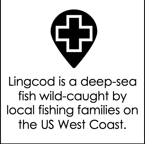 Lingcod - Fish Species Information — Positively Groundfish