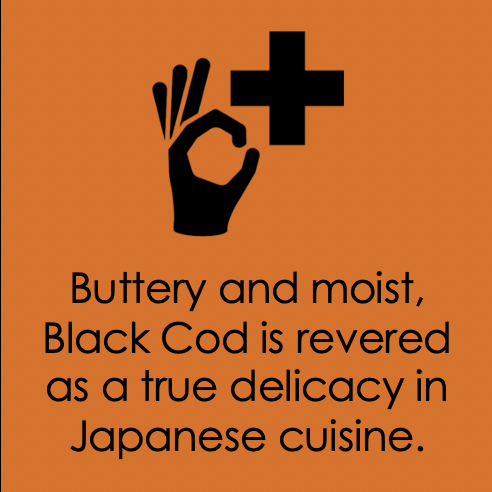 Black Cod / Sablefish - Fish Species Information — Positively Groundfish
