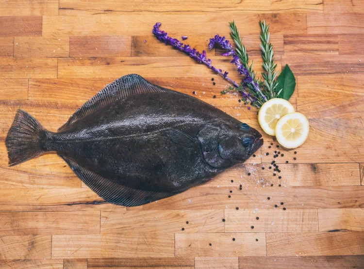Petrale Sole Fish Species Information — Positively Groundfish