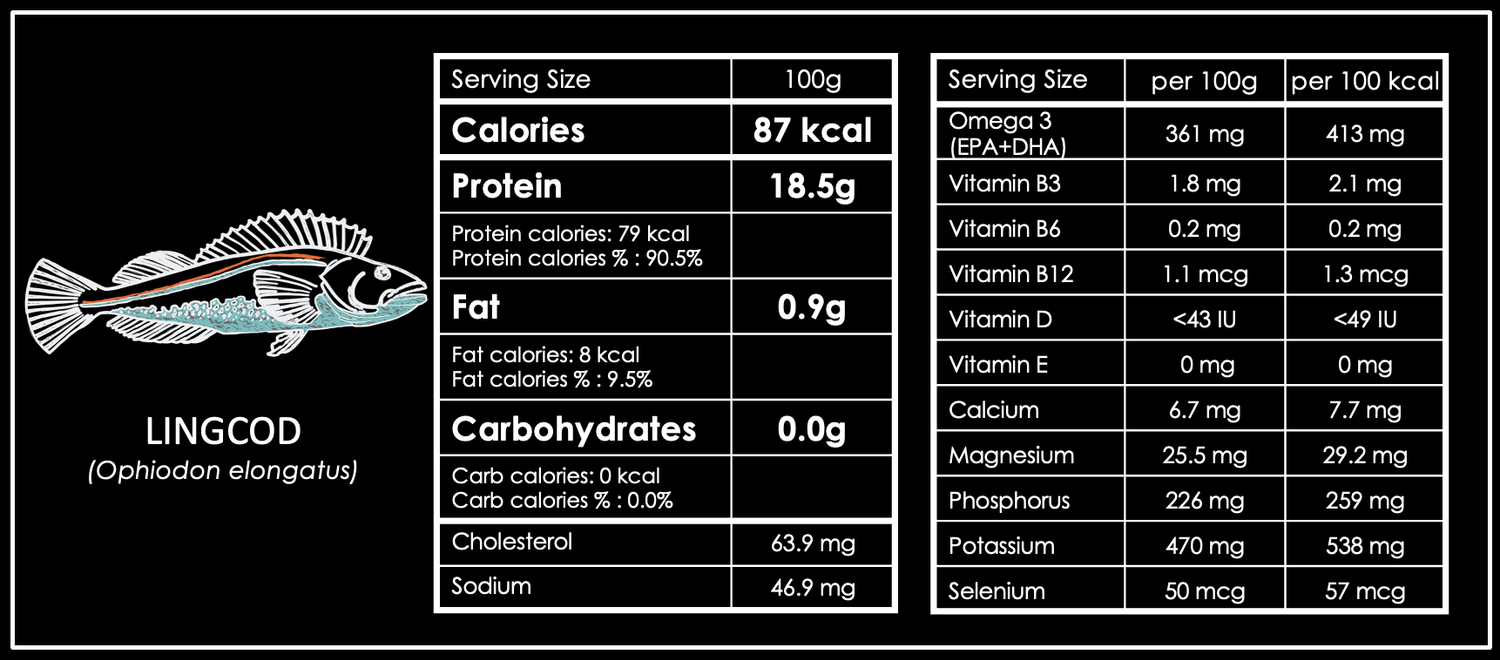 Lingcod - Fish Species Information — Positively Groundfish