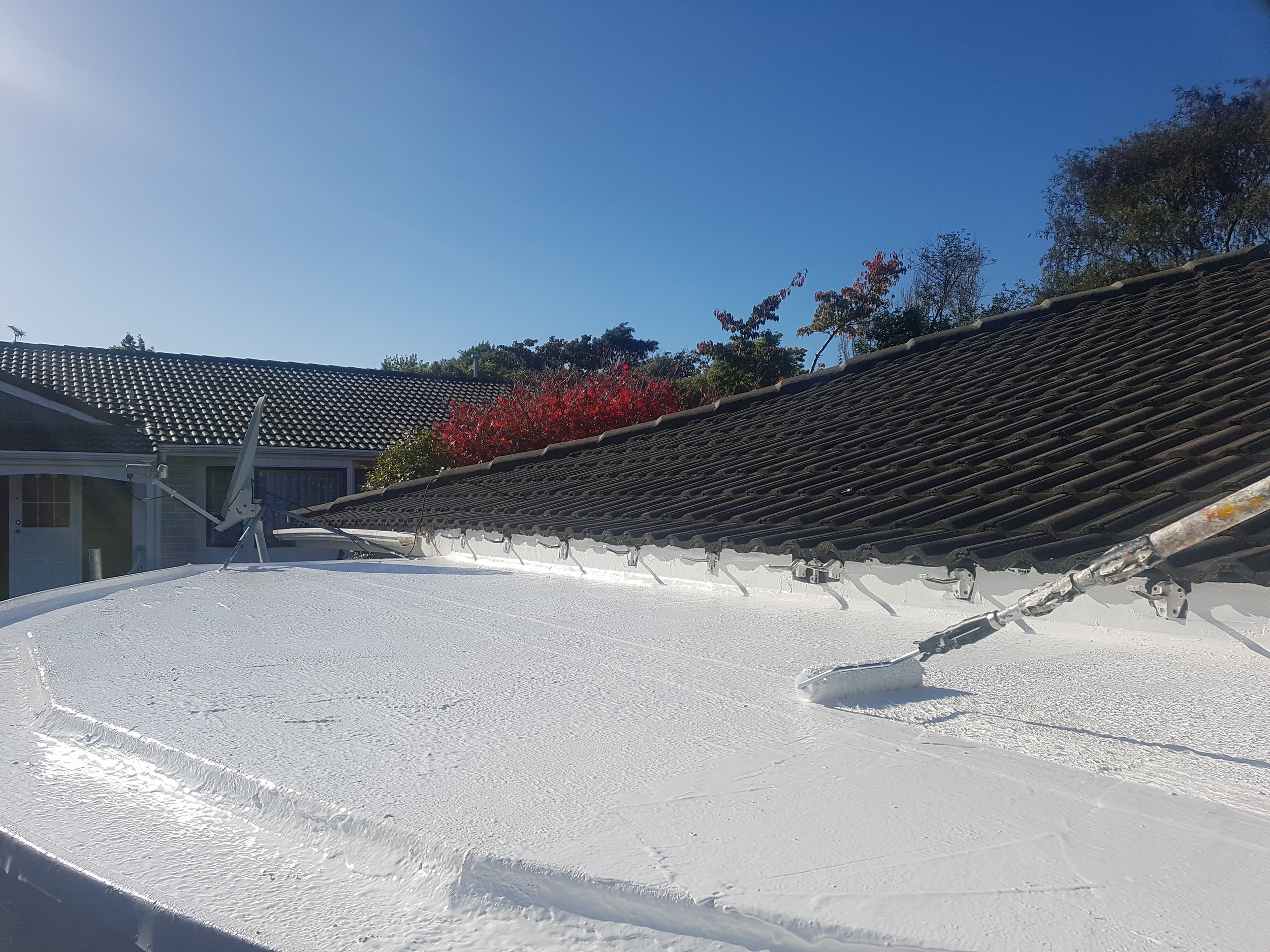 Monolithic Cladding Coatings — Seamless Coatings