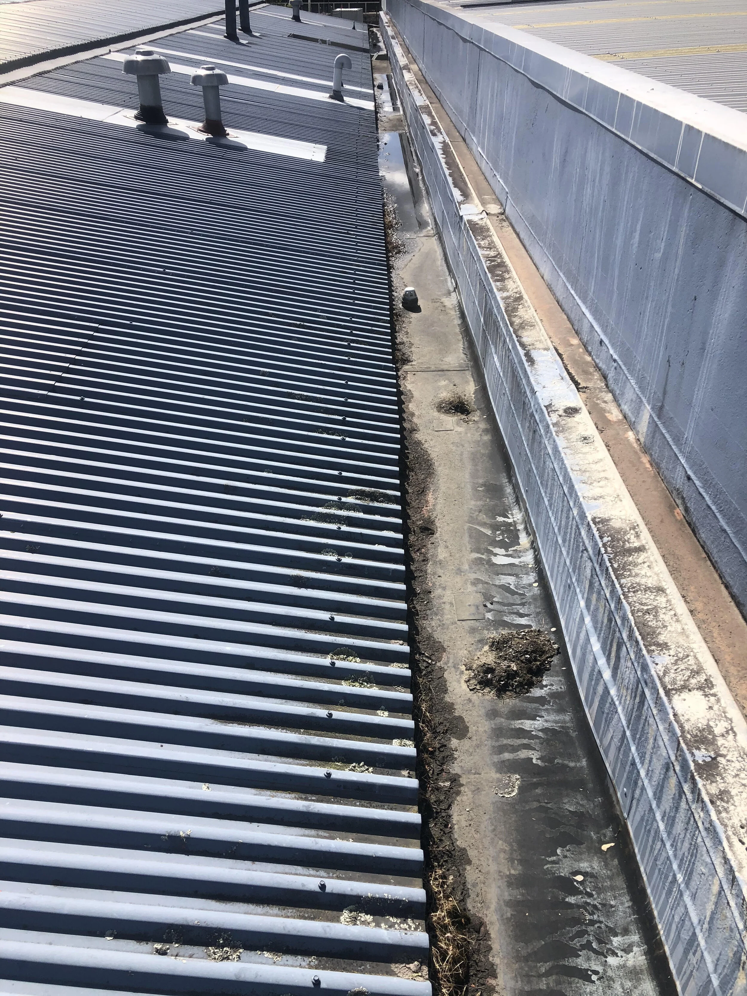 Monolithic Cladding Coatings — Seamless Coatings