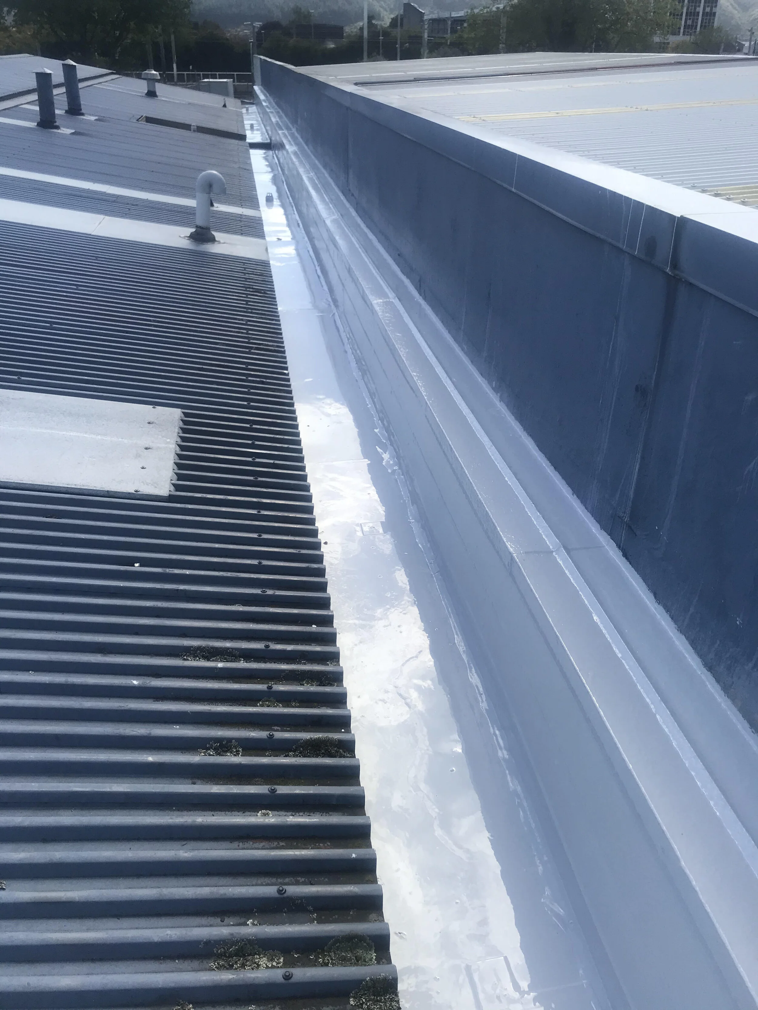 Monolithic Cladding Coatings — Seamless Coatings