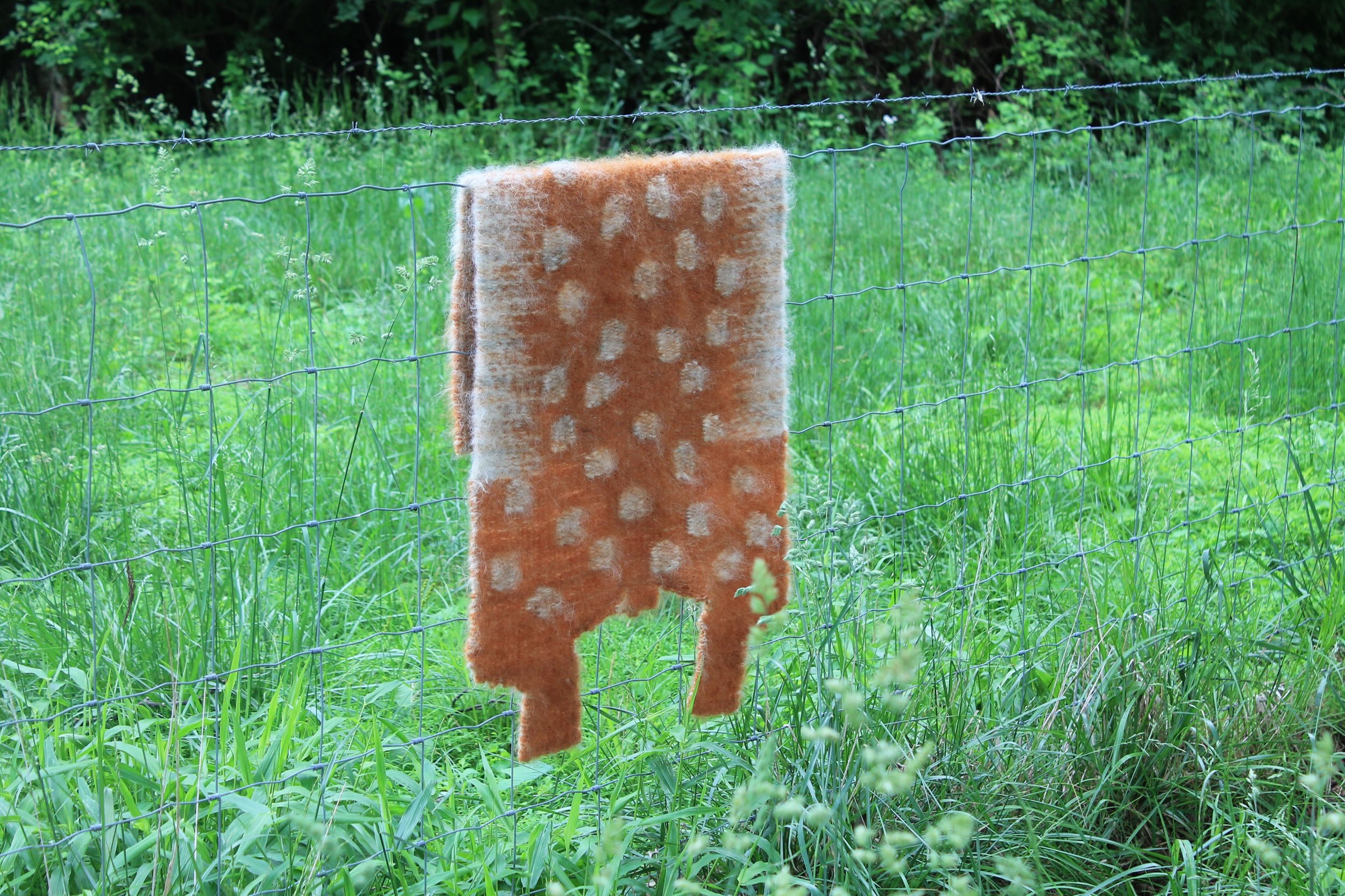 The Fawn — Noelani Jones