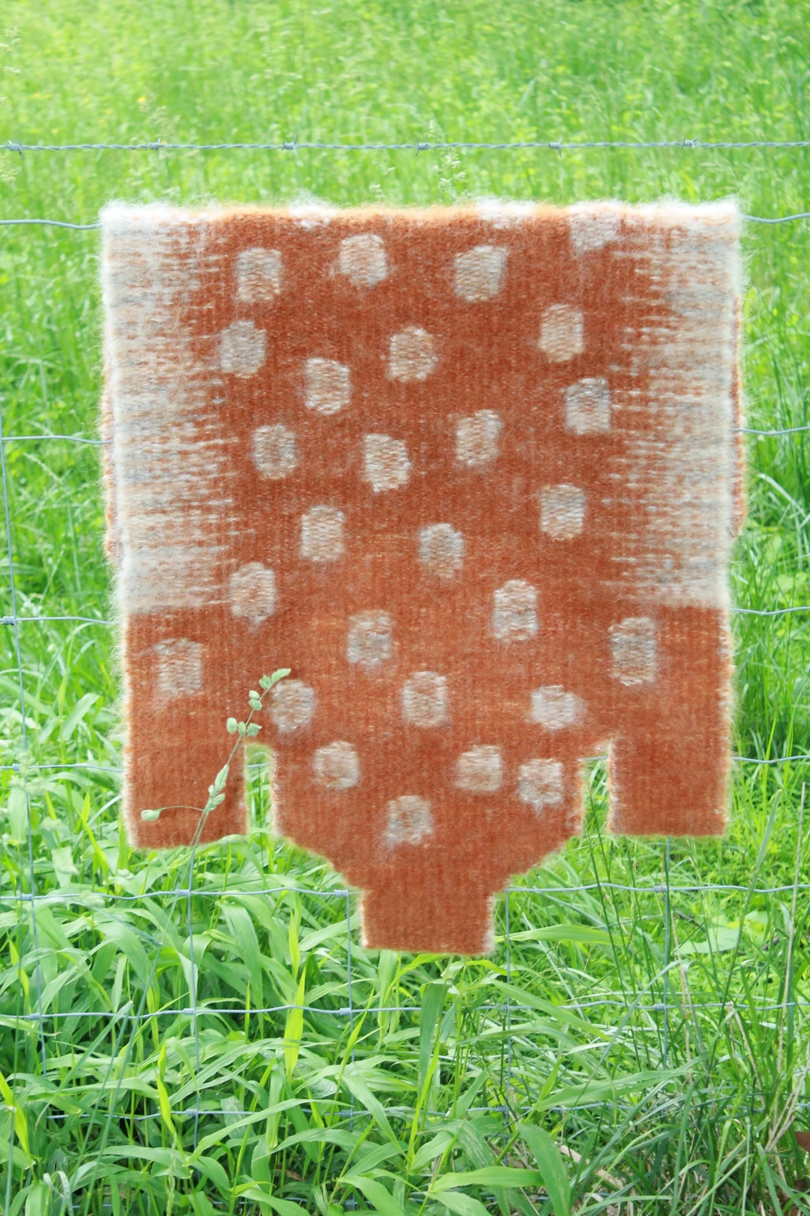 The Fawn — Noelani Jones