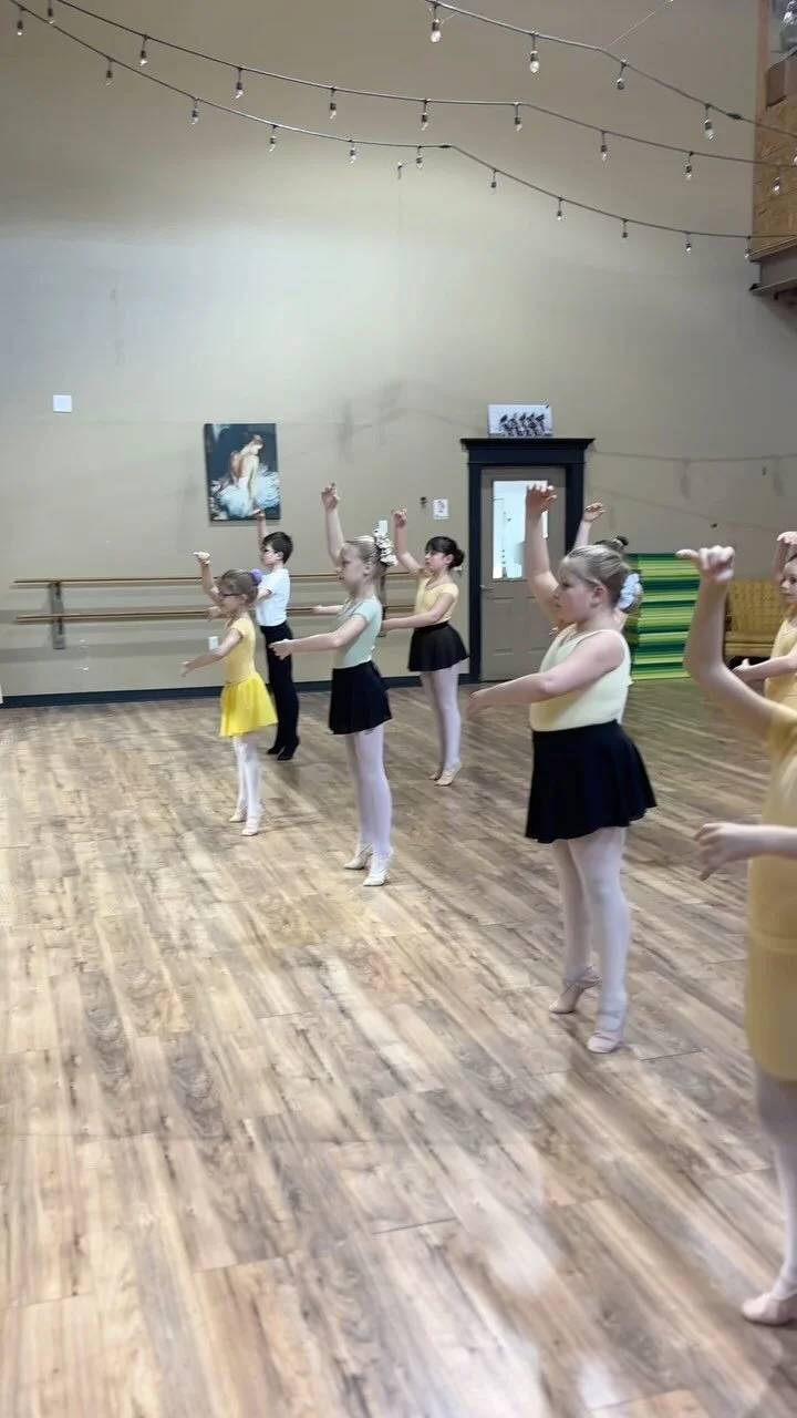 Abernethy Performing Arts - Dance School, Pre-Professional Ballet ...