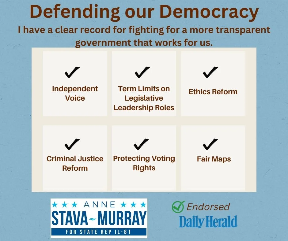 Defending Our Democracy — Anne Stava-Murray for State Rep