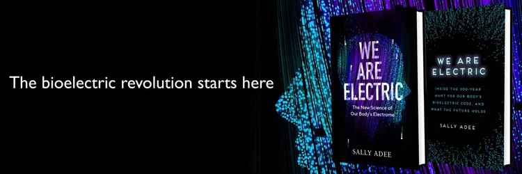 We Are Electric — Sally Adee