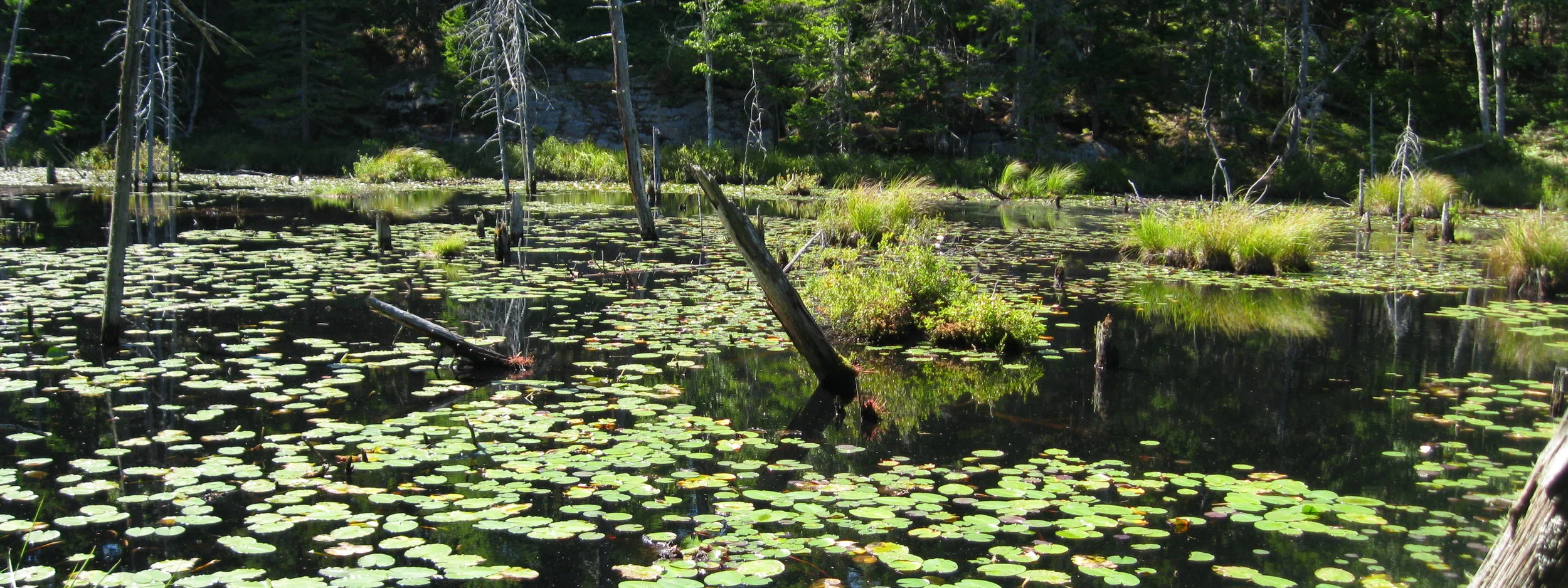 Morse Pond, Georgetown — Kennebec Estuary Land Trust