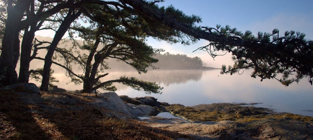 Bonyun, Westport Island — Kennebec Estuary Land Trust