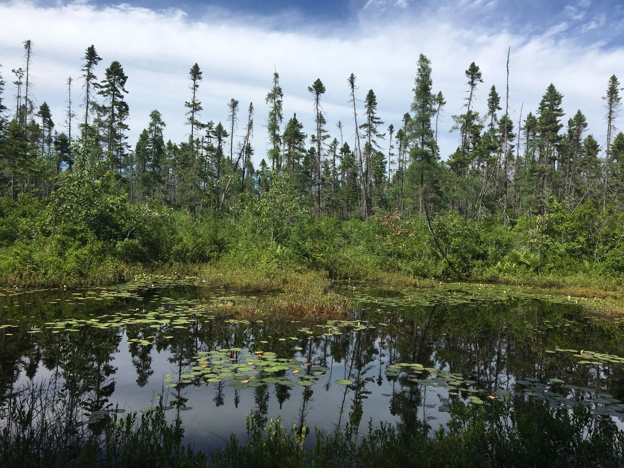 Land Conservation — Kennebec Estuary Land Trust