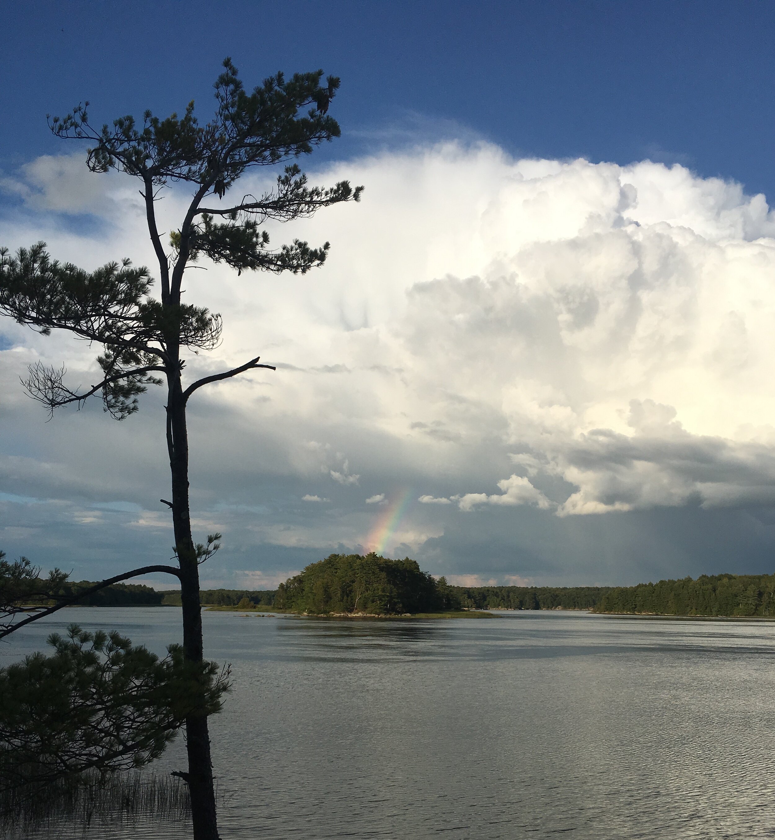 Conservation for the Future — Kennebec Estuary Land Trust