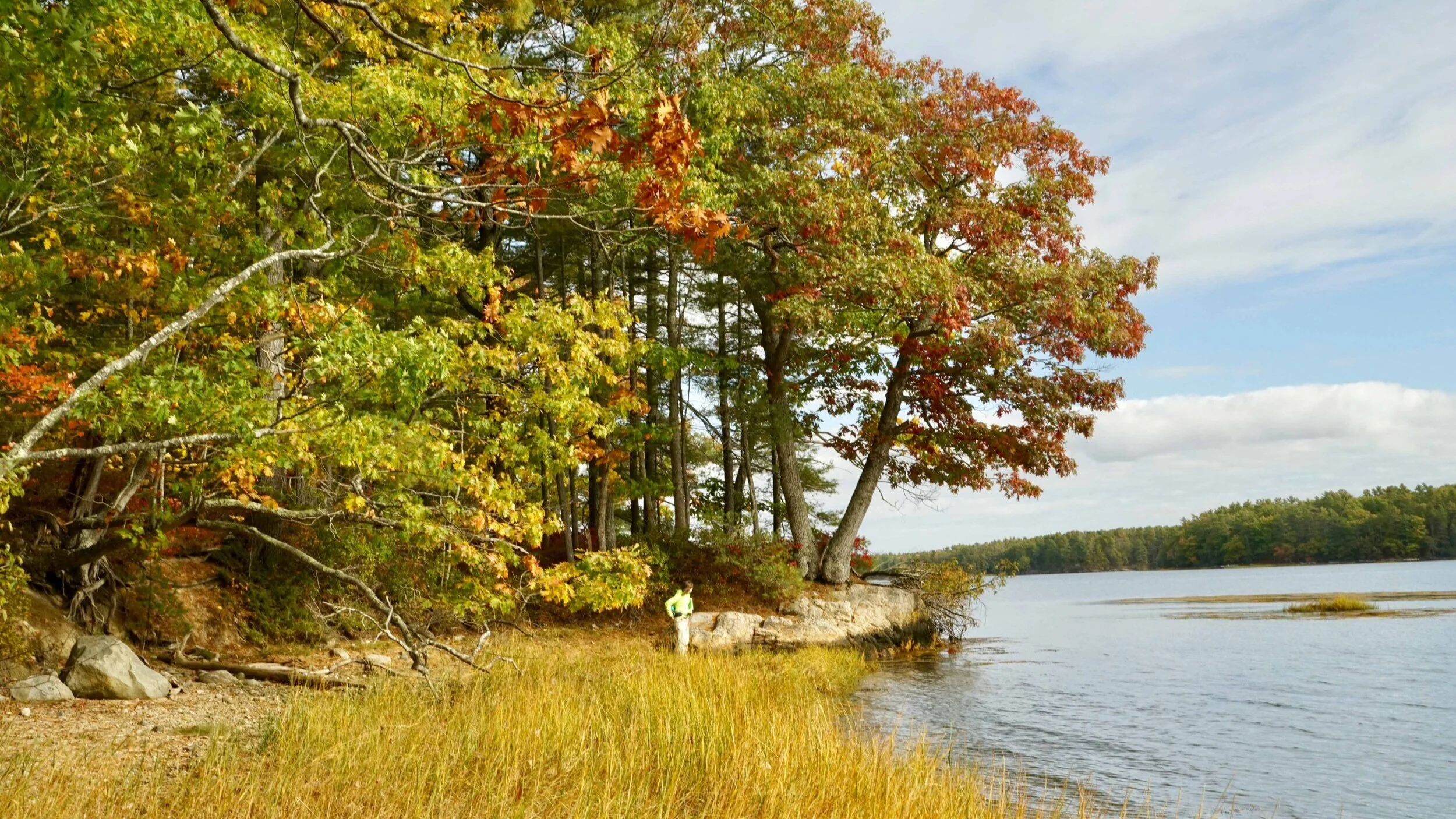 Support — Kennebec Estuary Land Trust