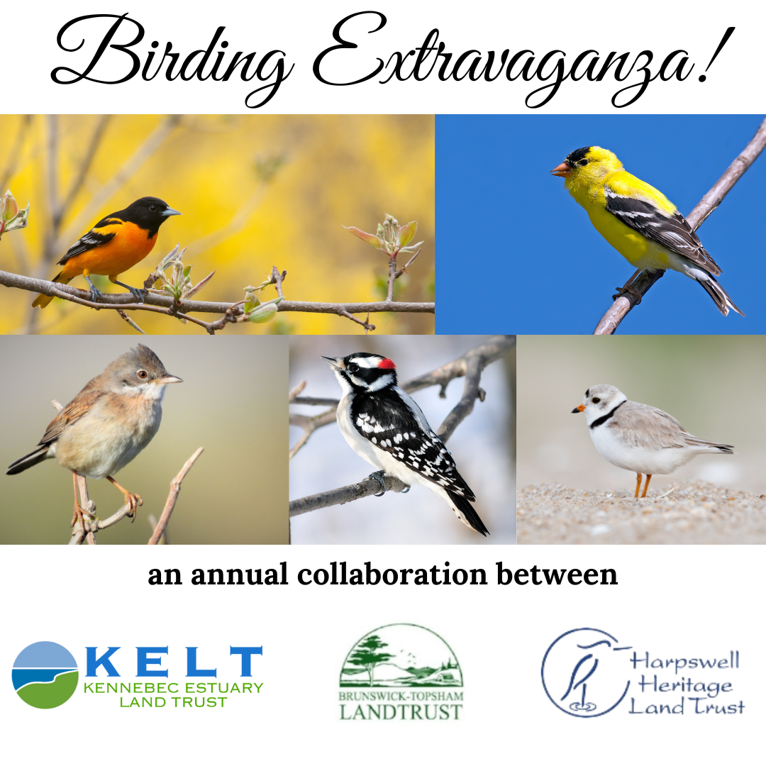 Upcoming Events — Kennebec Estuary Land Trust