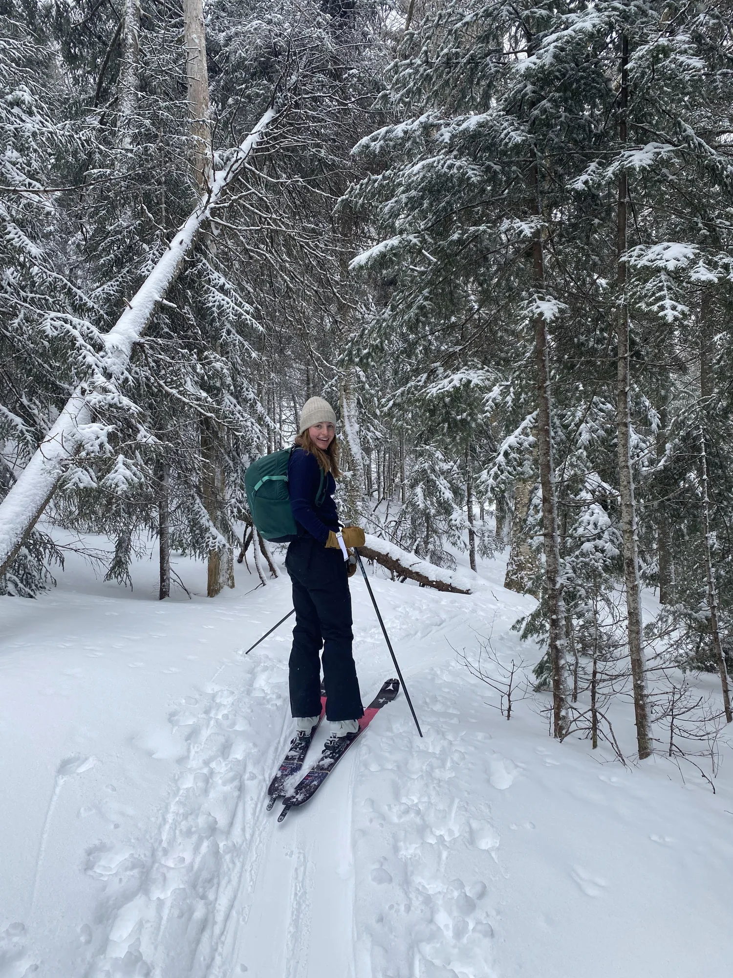 Staff & Board — Kennebec Estuary Land Trust
