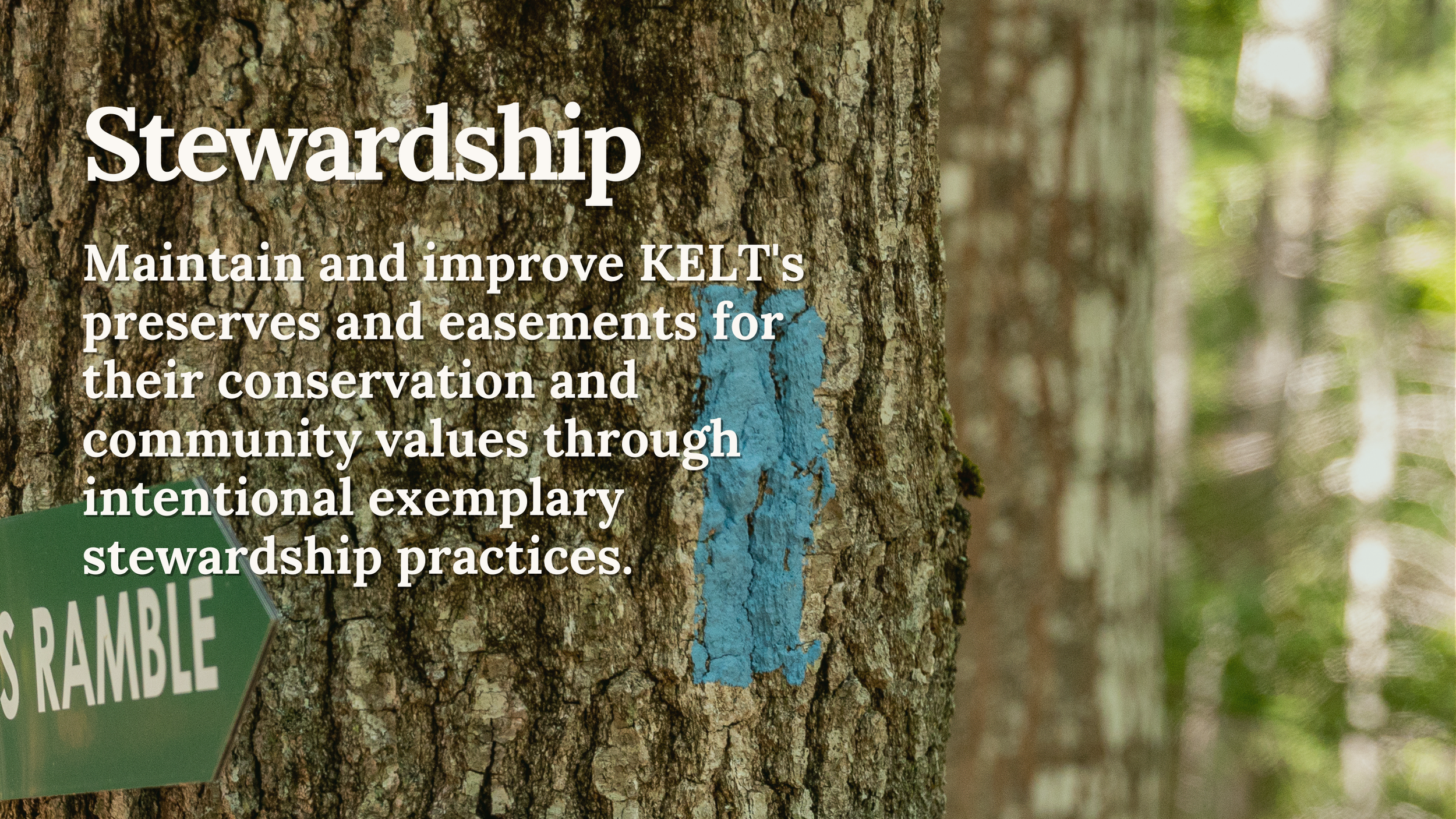 Stewardship (strategic plan) — Kennebec Estuary Land Trust