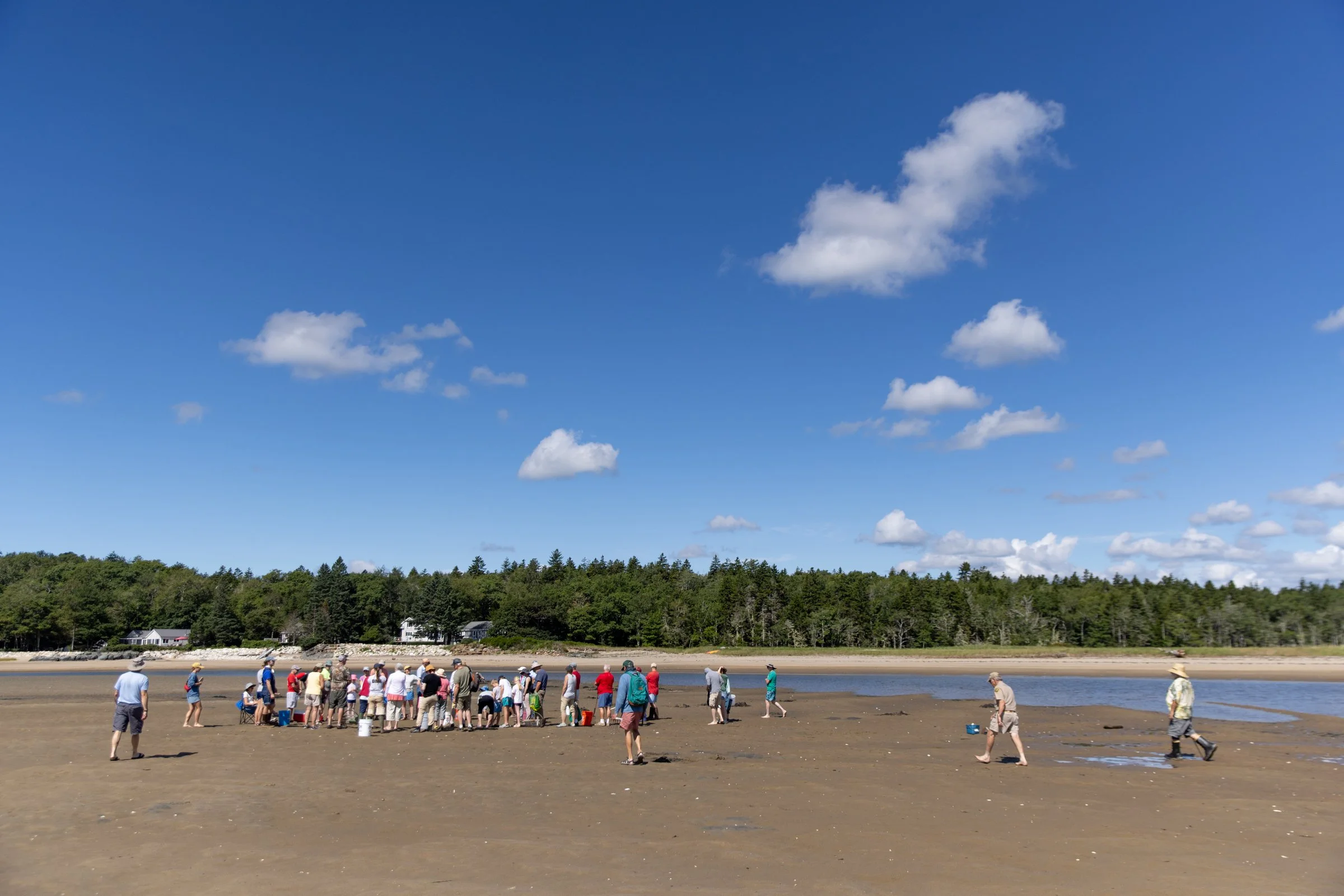 Upcoming Events — Kennebec Estuary Land Trust