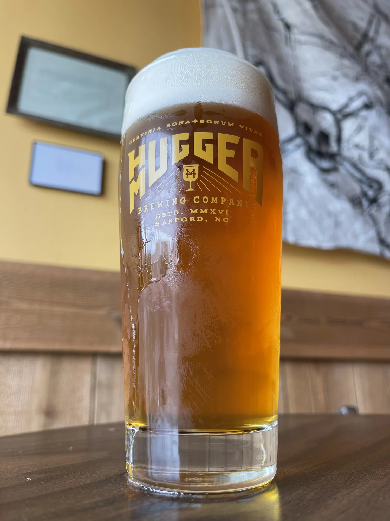 Beer on Draft at Hugger Mugger Brewing — Hugger Mugger Brewing Company