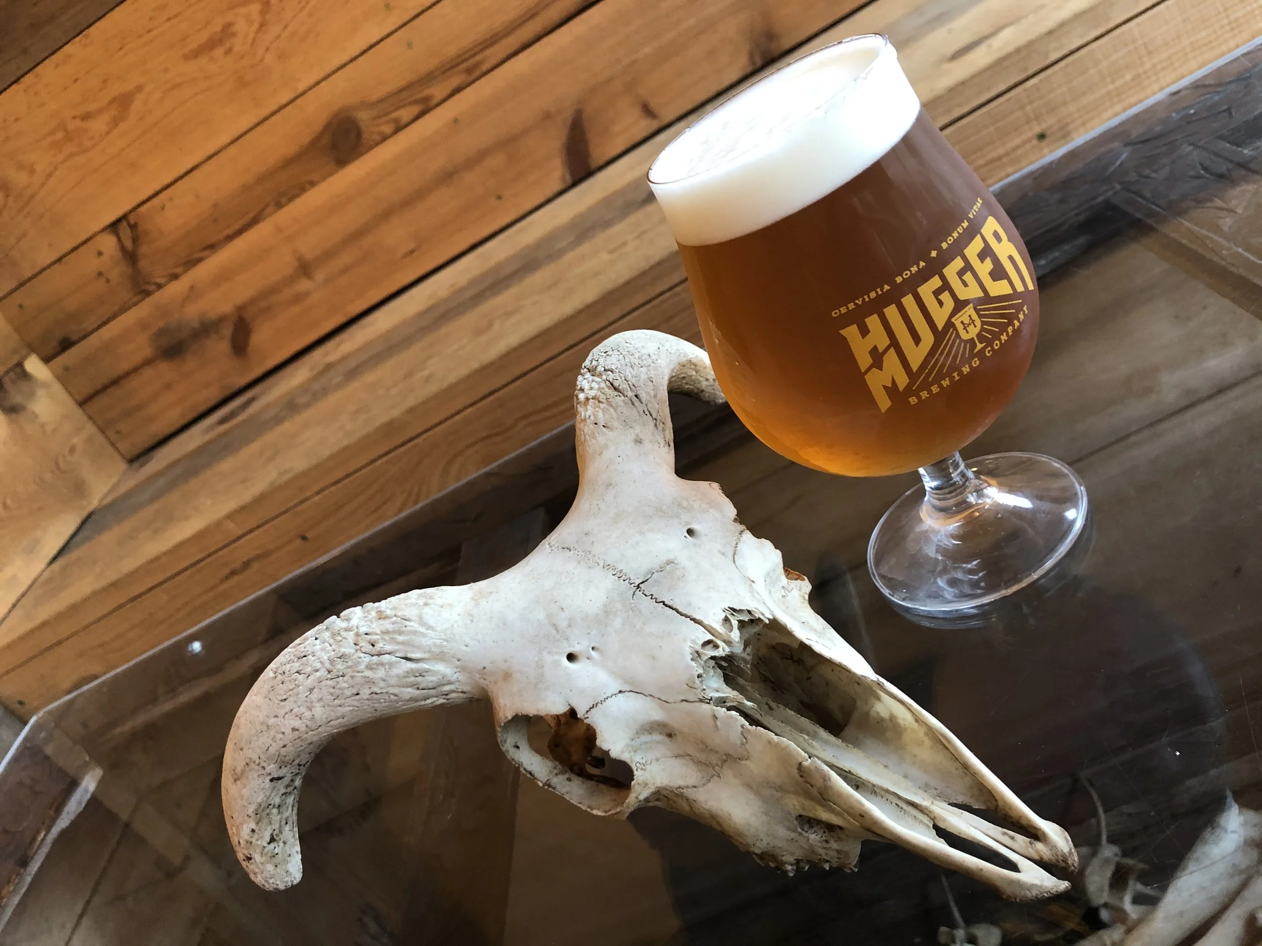 Beer on Draft at Hugger Mugger Brewing — Hugger Mugger Brewing Company