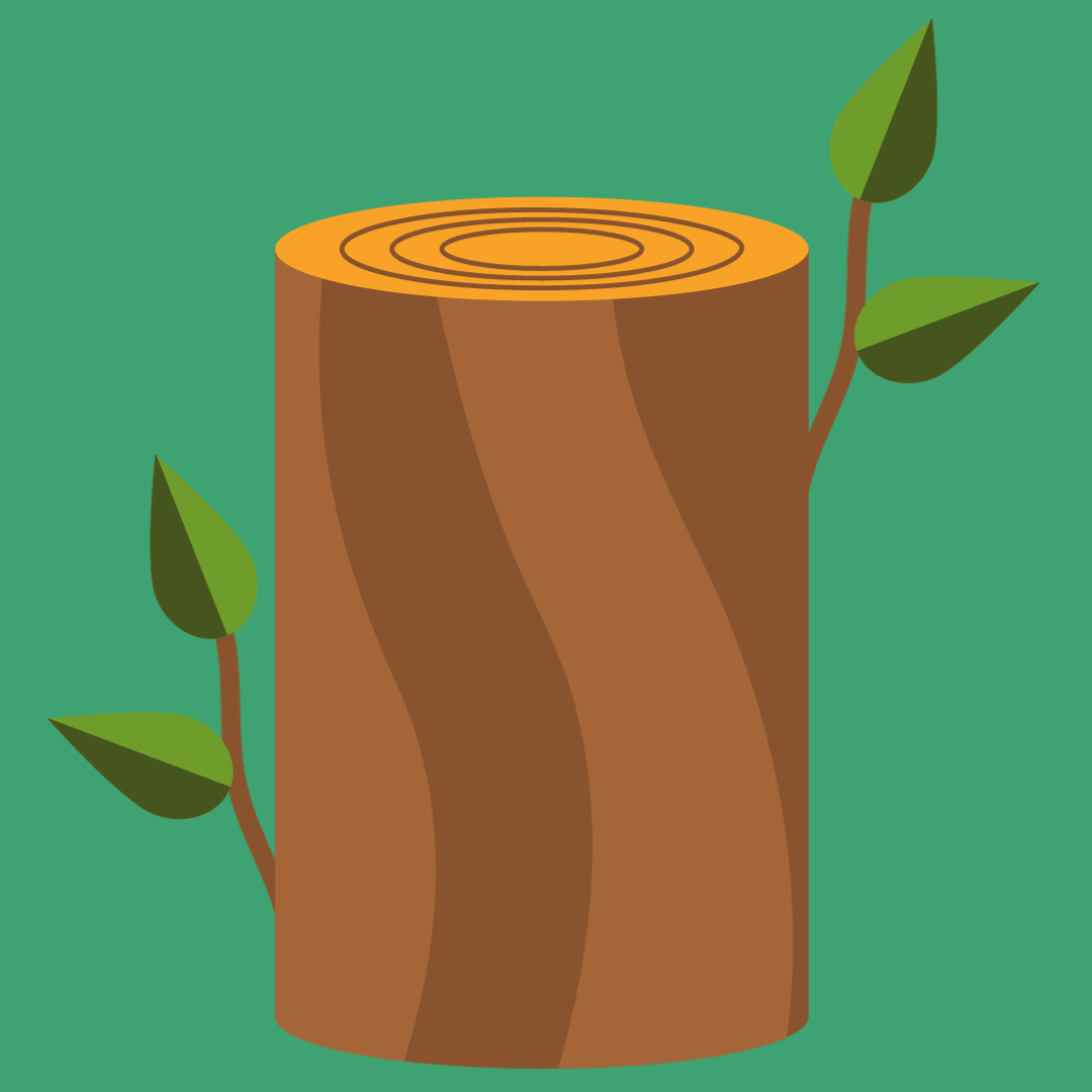 Our Team — The Children's Center of Brookline