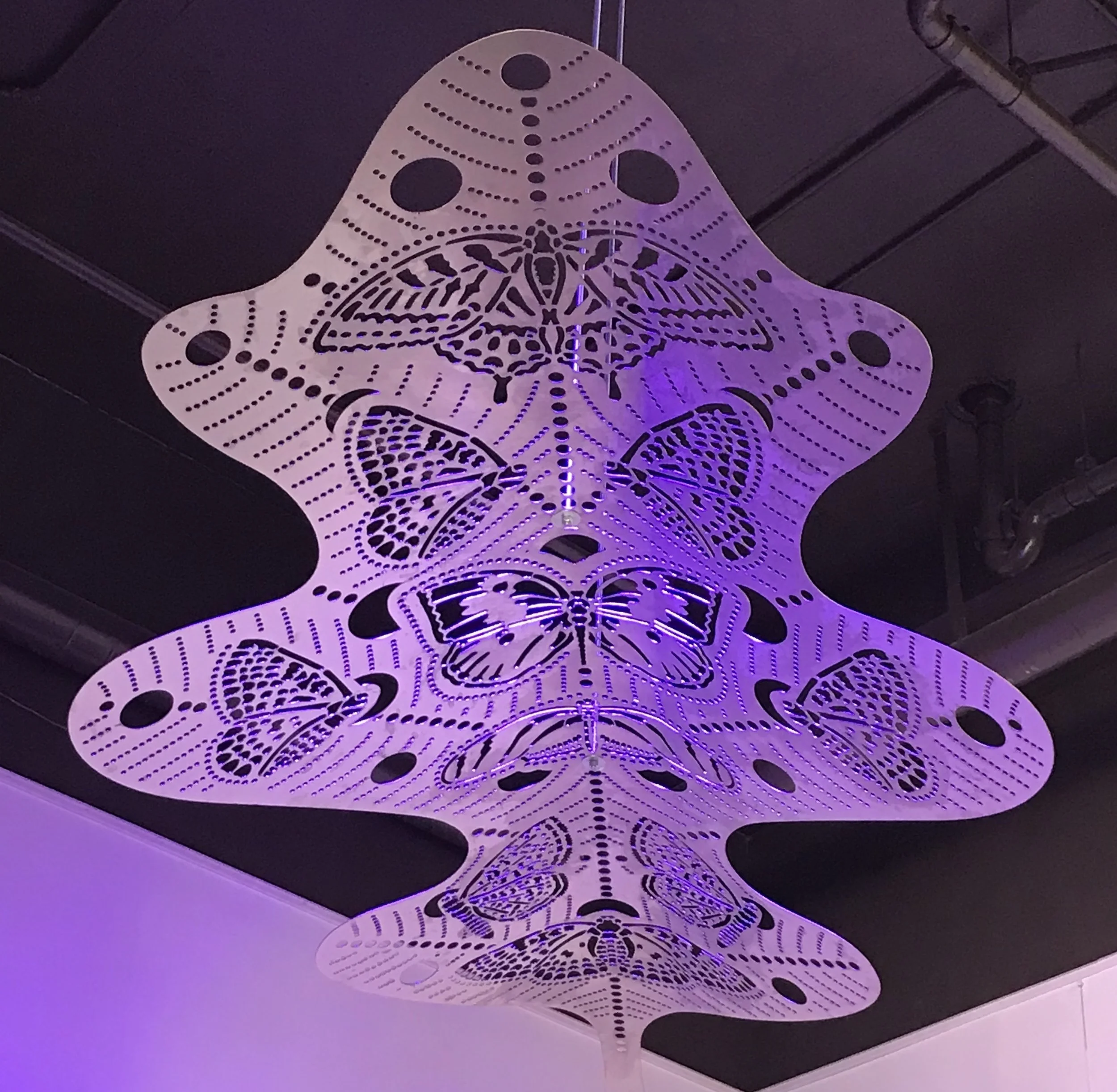 The Great Migration 240 Linear Foot Tunnel With Laser Cut Stainless the-great-migration-240-linear-foot-tunnel-with-laser-cut-stainless