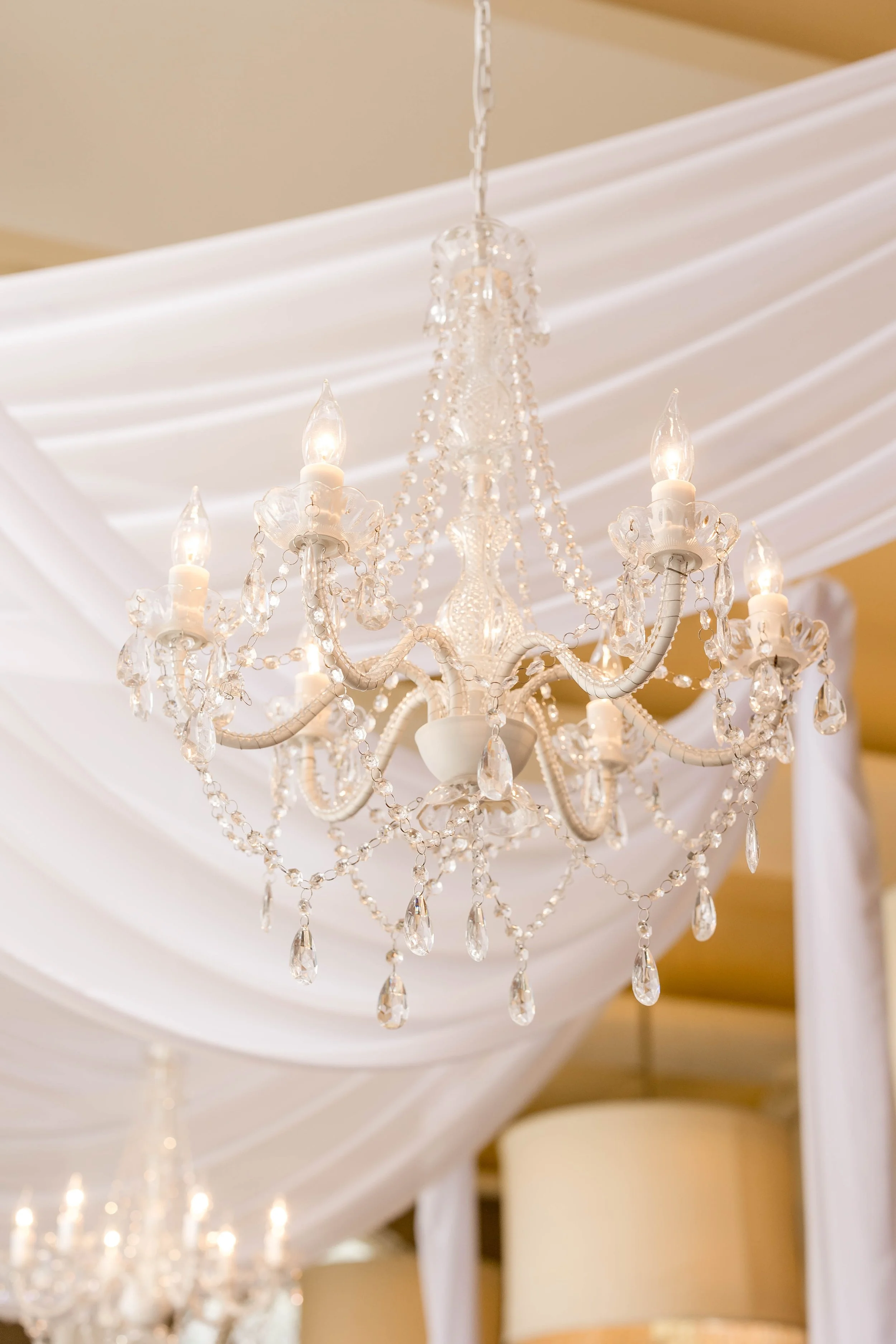 Minnesota Wedding — We've Got It Covered