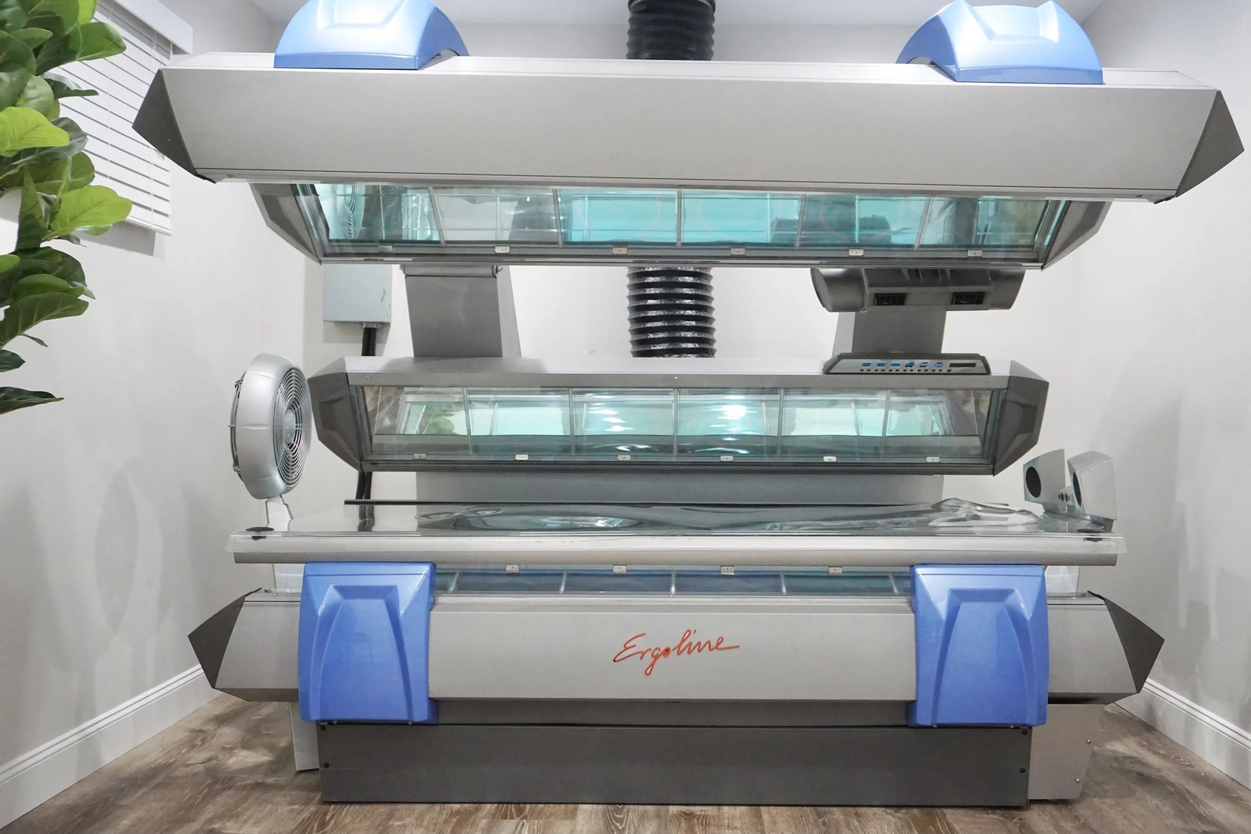 Membership Info — tannahs