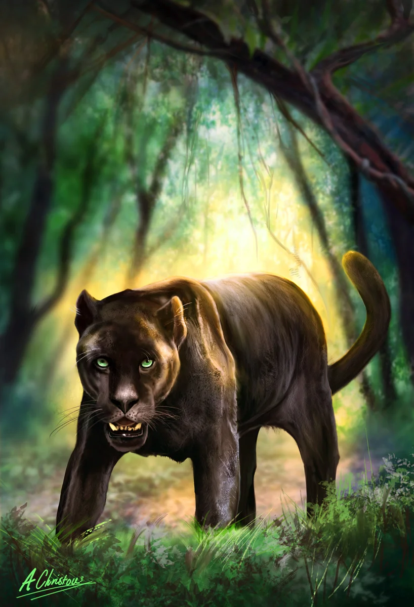 Bagheera - Animal Art Print — Anthony Christou Illustration