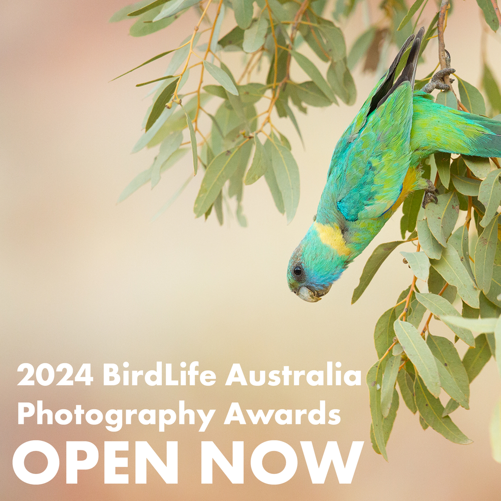 BirdLife Australia Photography Awards