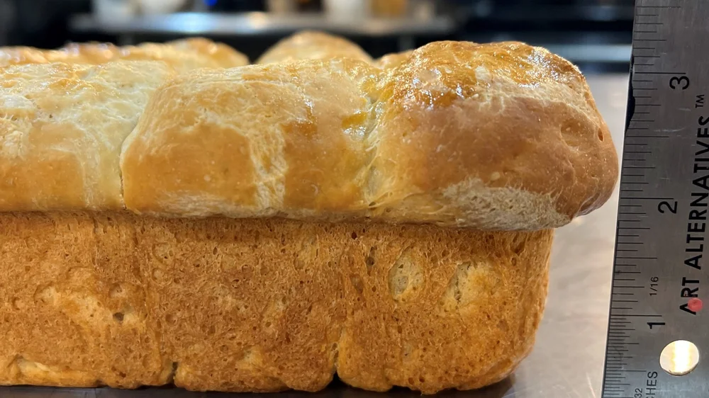 Menu 1 — Cozy Nook Gallery & Cafe