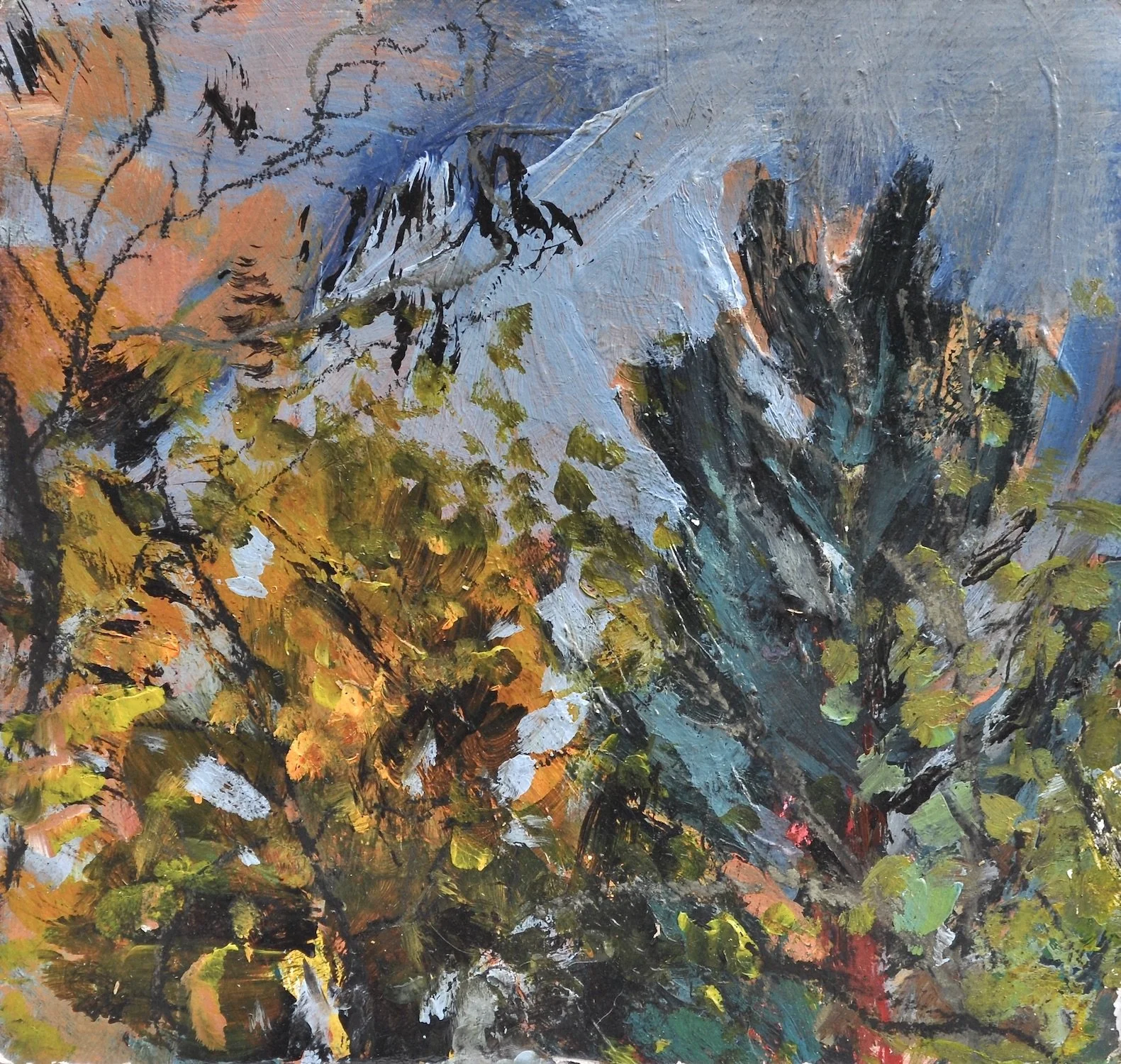 Emily Ingrey-Counter's drawings and paintings of landscapes in and ...