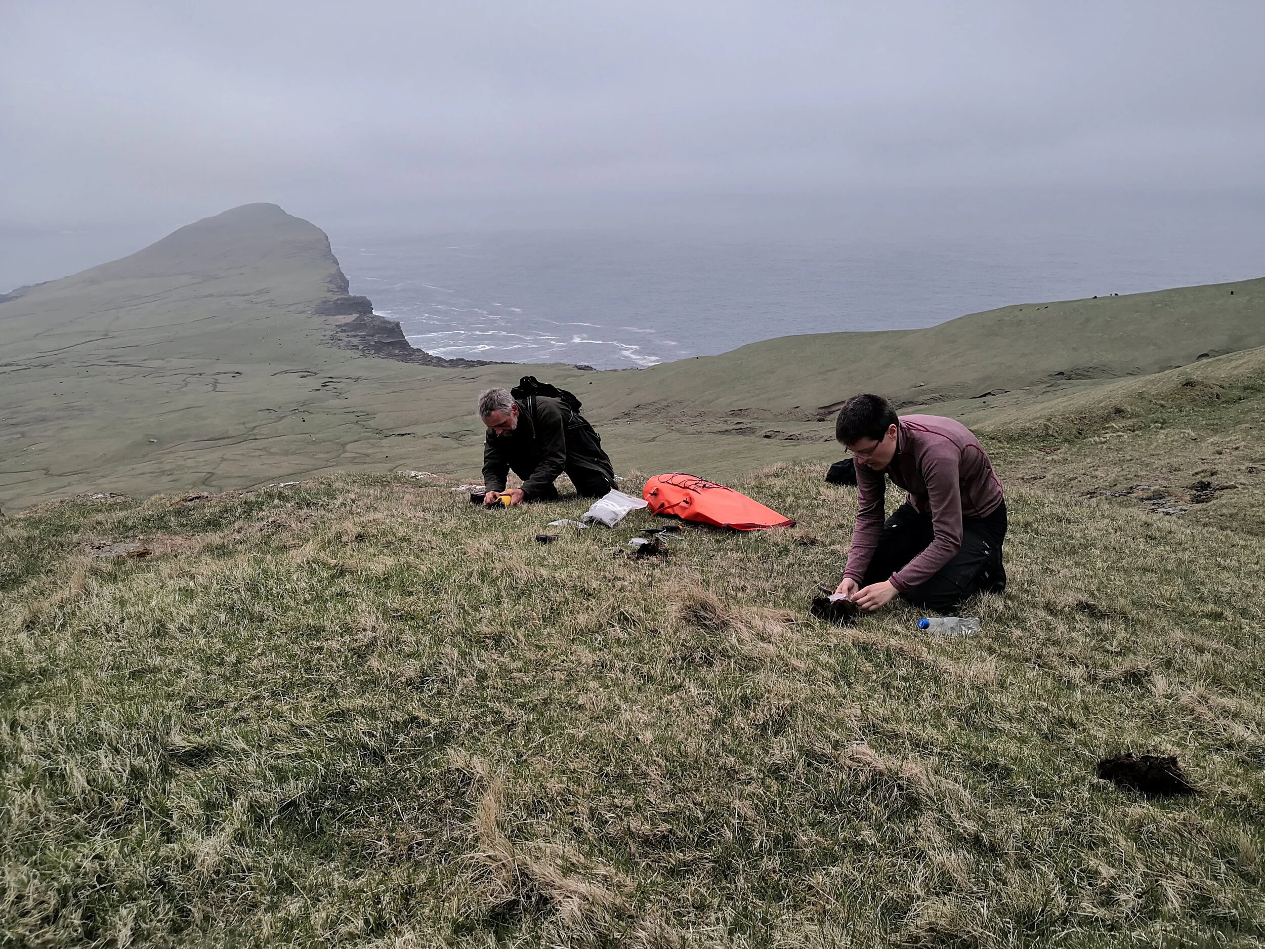 Invertebrates of Koltur — Tjóðsavnið
