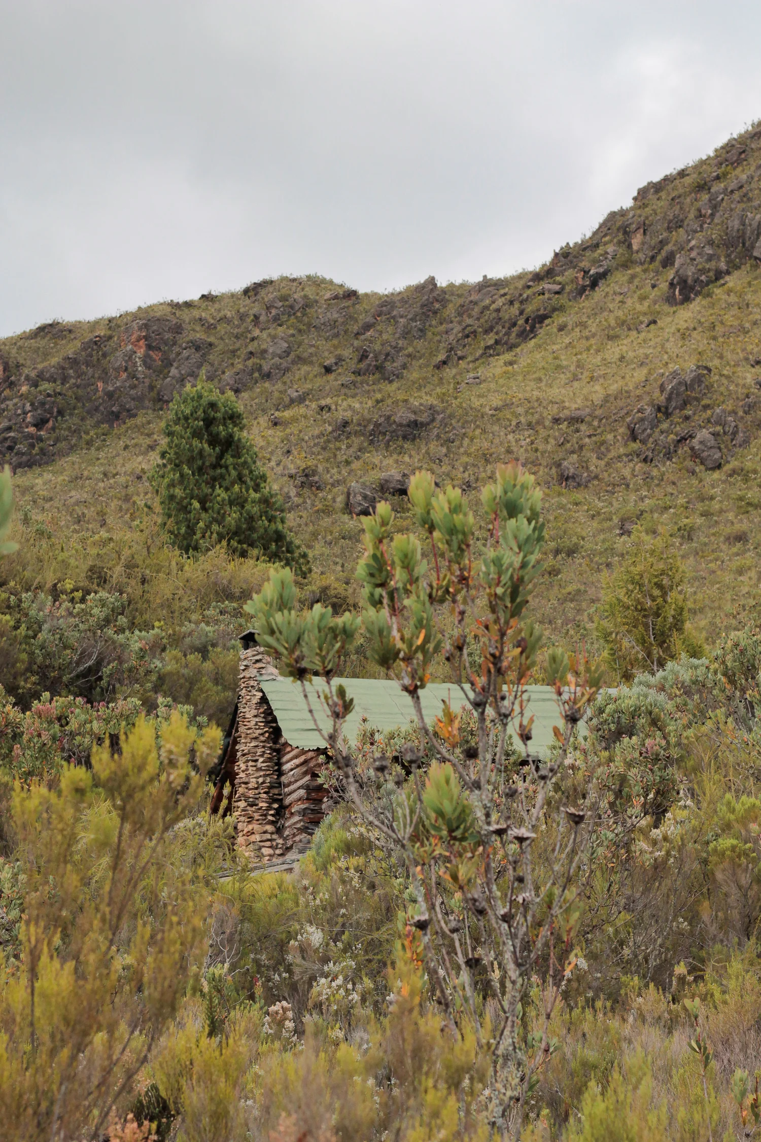 A journey across Kenya — Wild Kat Yoga