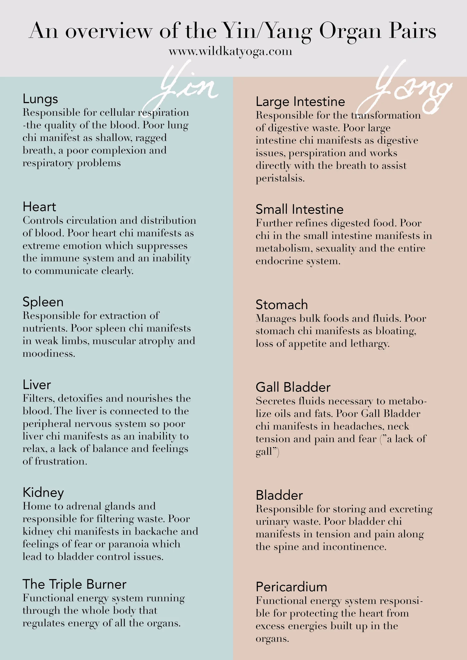 Yin Yoga and Meridian Theory — Wild Kat Yoga