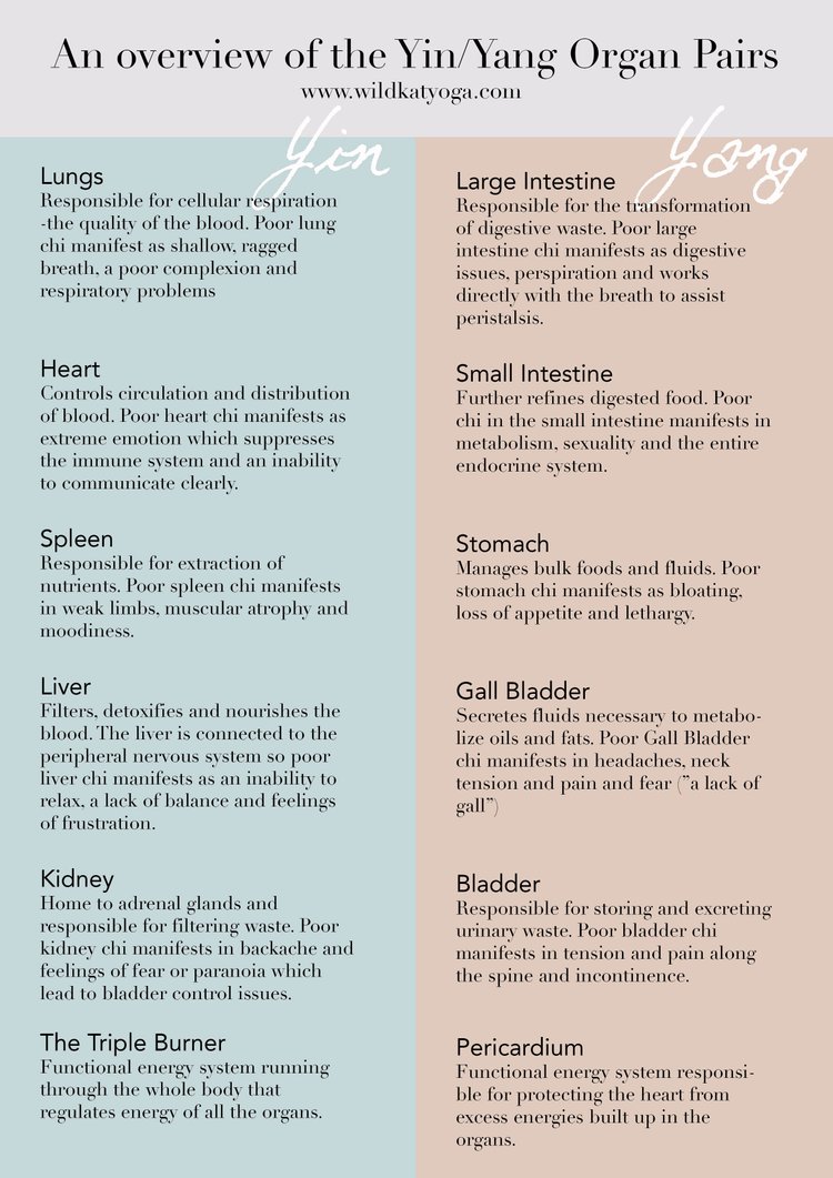 Yin Yoga and Meridian Theory — Wild Kat Yoga