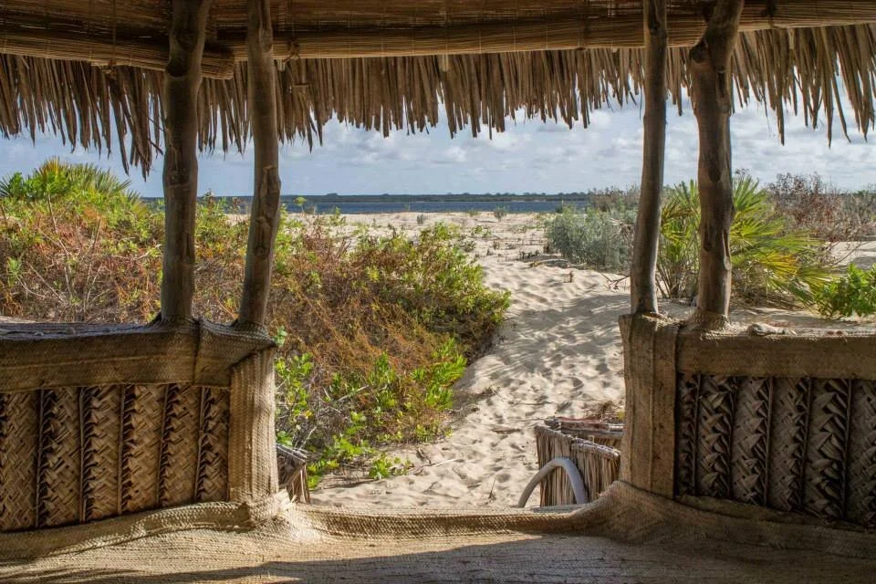 5 Hidden Holiday Gems — Wild Kat Yoga