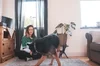 COVID 19 Lockdown To-Do List — Wild Kat Yoga