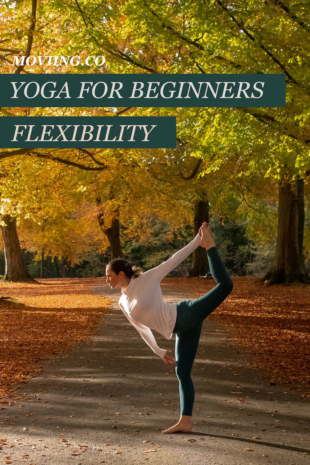 How to Stay Motivated as a Yoga Beginner — Wild Kat Yoga