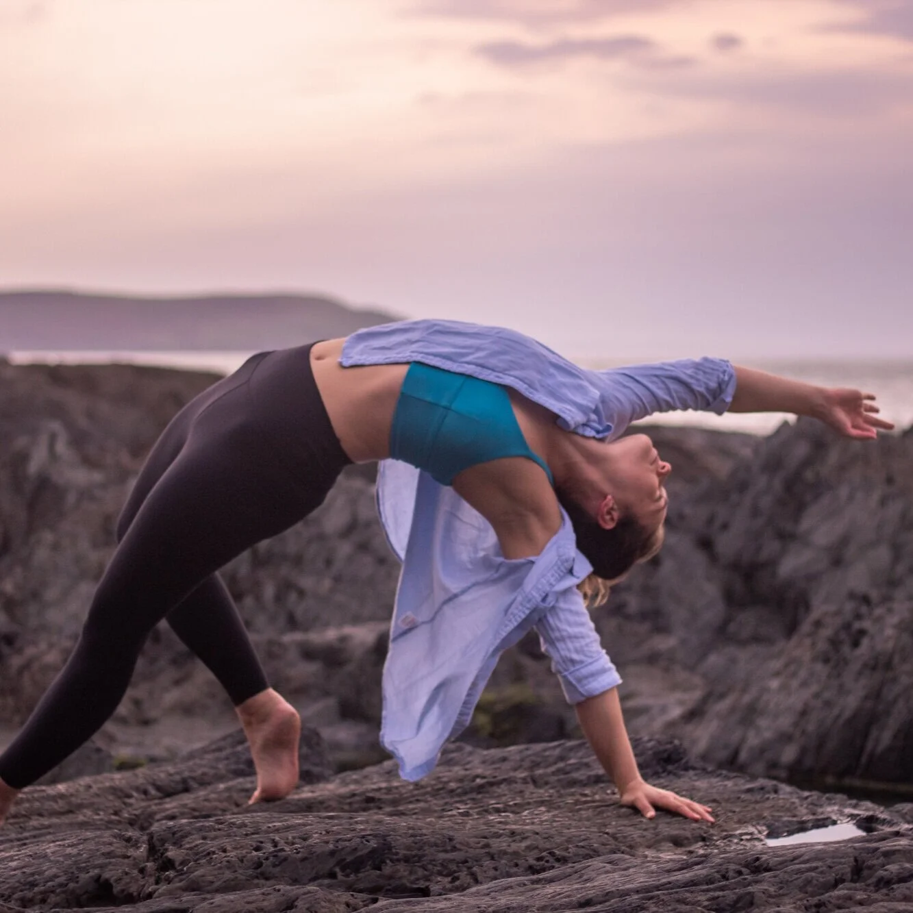 Wild Kat Yoga