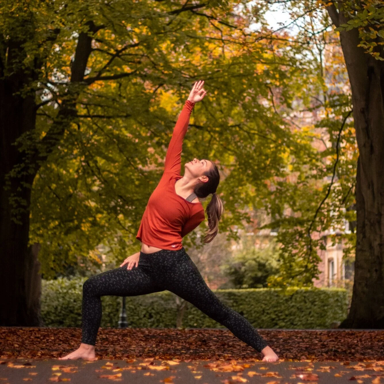 Wild Kat Yoga