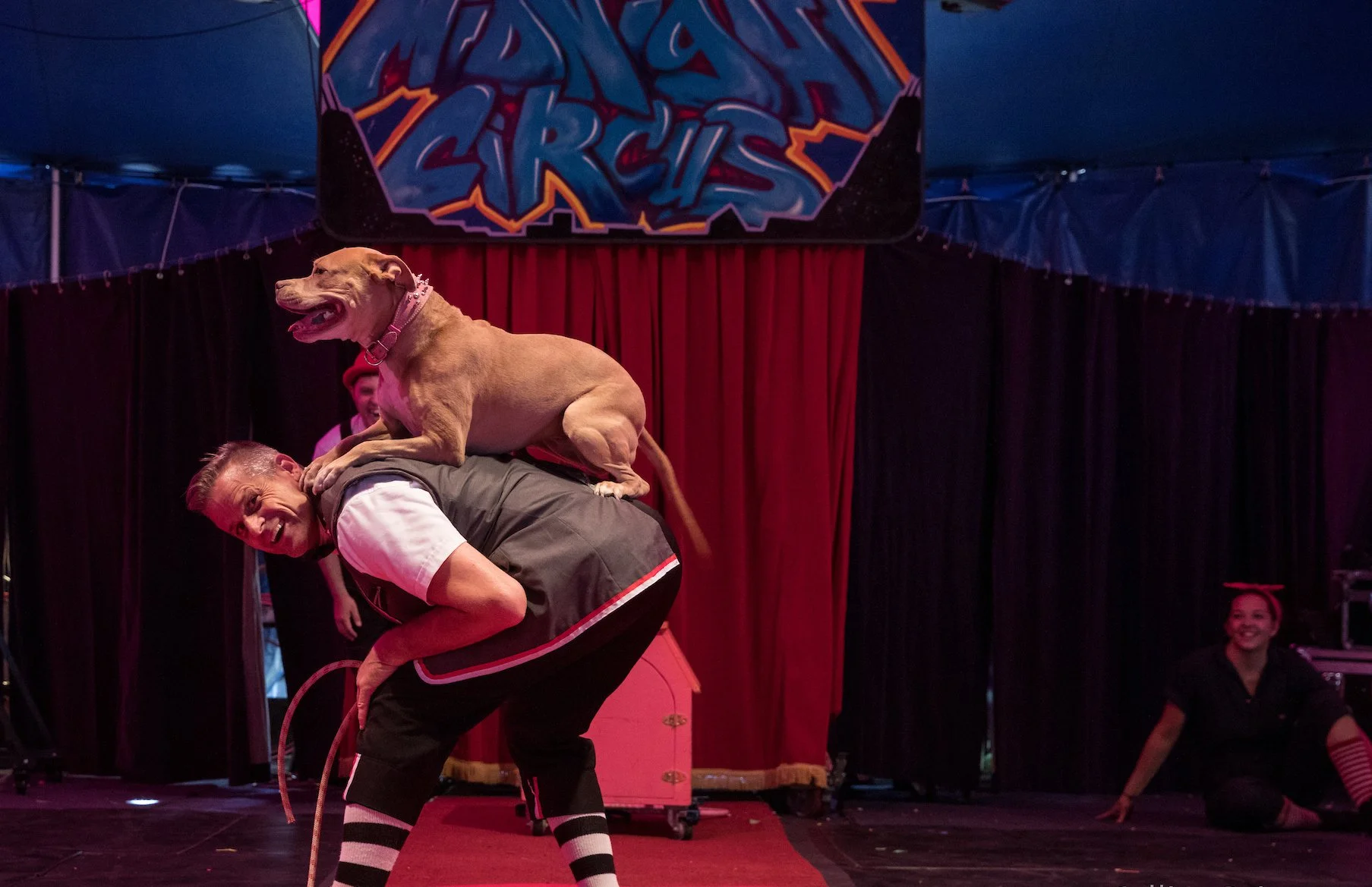 Midnight Circus in the Parks