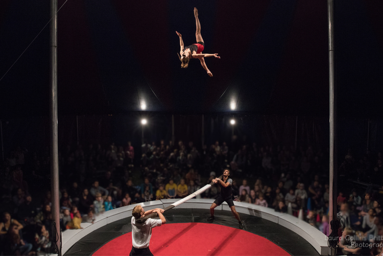 About — Midnight Circus in the Parks