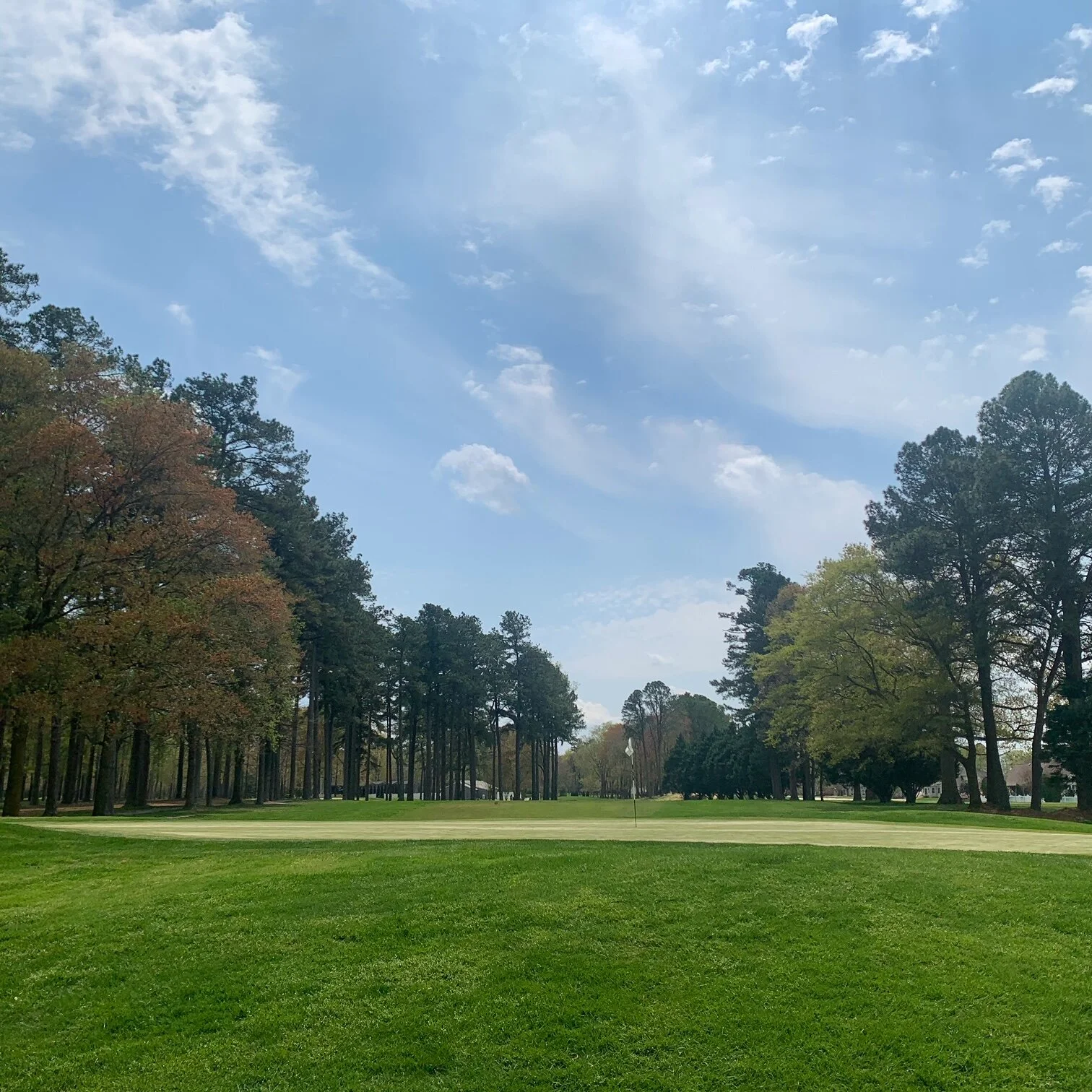 Say Hello To Affordable Golf and Get More Golf at Mulligan's Pointe ...