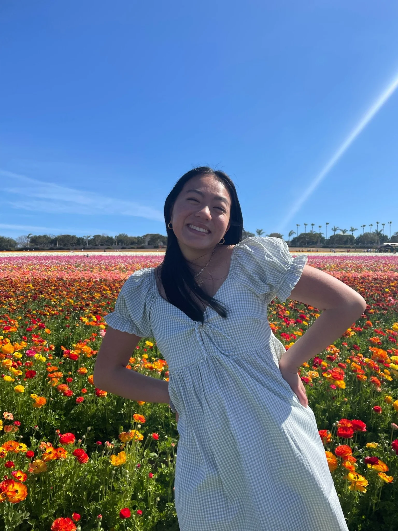 Fellow Spotlight: Ellen Nguyen — Citizens' Climate Higher Education