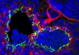 Research Interests — The Meadows Lab