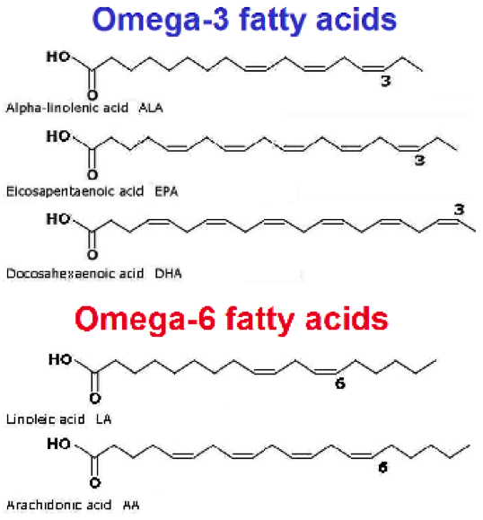 Omega 3 s 6 s Dr Matthew Castanho Omega 3 s 6 s Dr Matthew Castanho